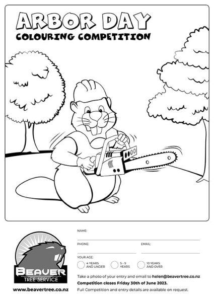 Tree Pruning, Tree Removal and Stump Grinding by Expert Arborists
