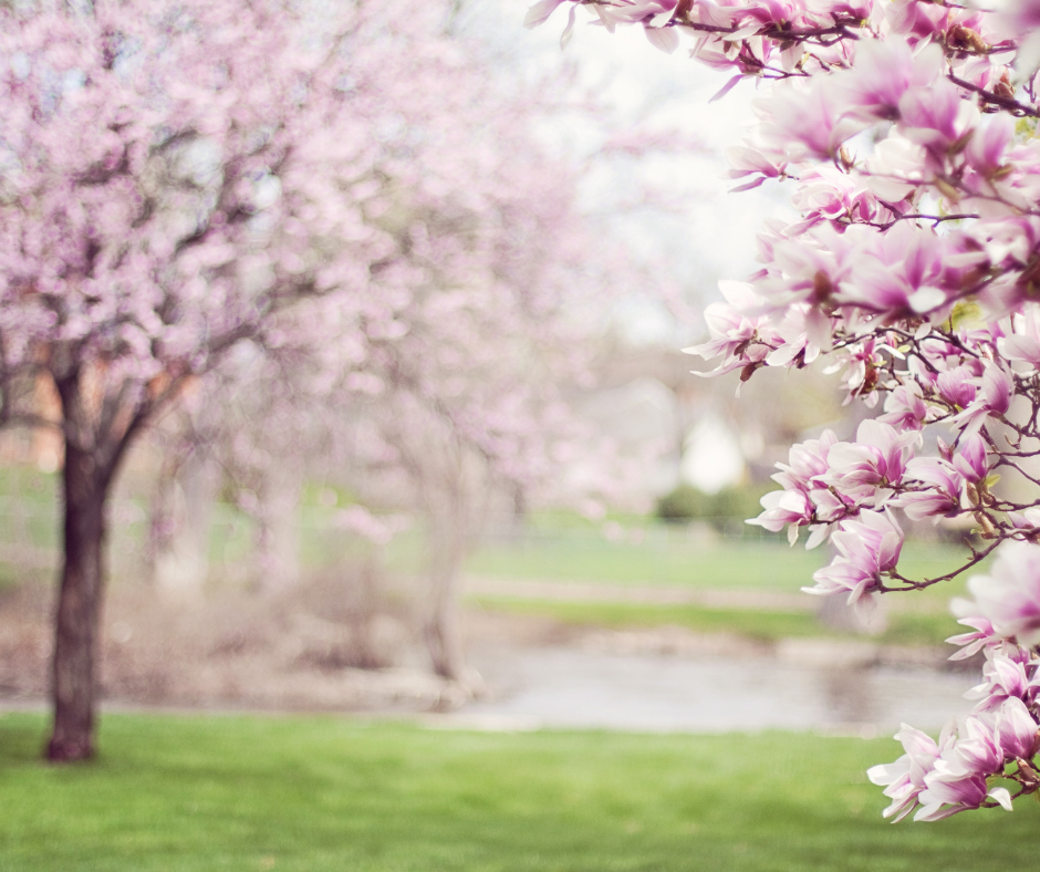 Spring has sprung! - Beaver Tree Service
