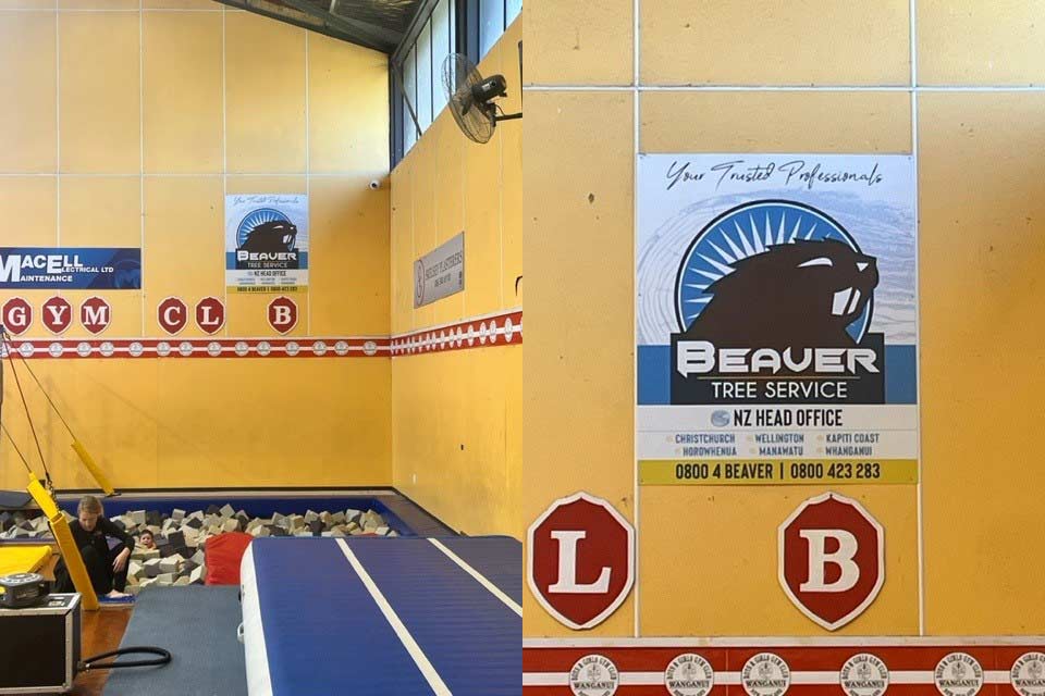 Whanganui Boys and Girls Gym Club - Beaver Tree Service