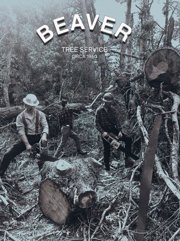 Exploring the Roots: - Beaver Tree Service