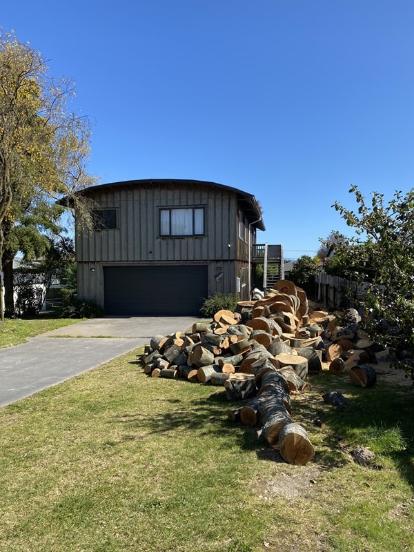 Understanding Residential Tree Removal in New Zealand - Beaver Tree Service