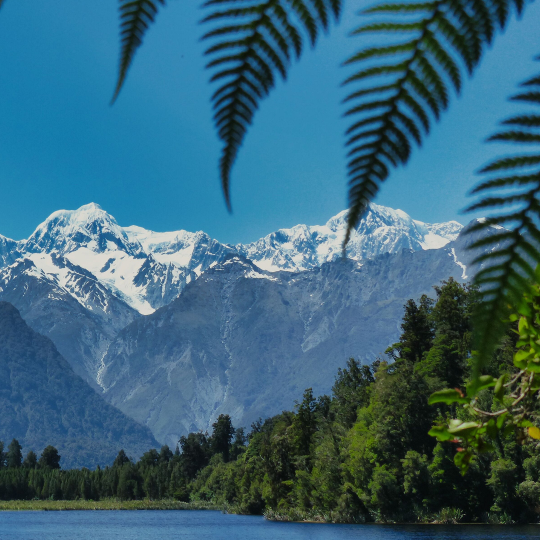 How to Protect Your Trees from New Zealand’s Common Pests - Beaver Tree ...